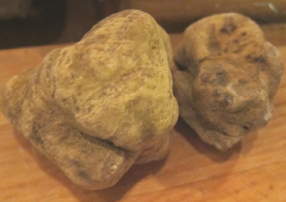 What We’re Cooking (and Indulging In) Now: Truffle Night!!! – Red Wine ...